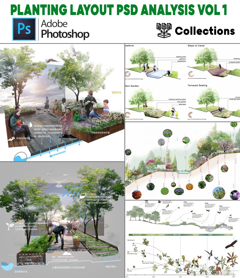 PLANTING LAYOUT PSD ANALYSIS VOL.1 | LANDSCAPE PHOTOSHOP PSD